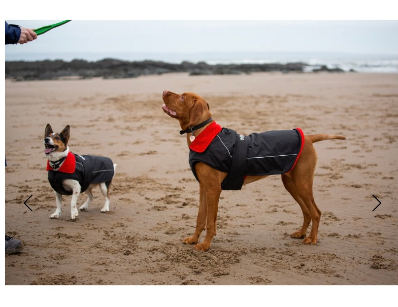 HG Pets Independent Pet Shop & Groomers – HG PETS