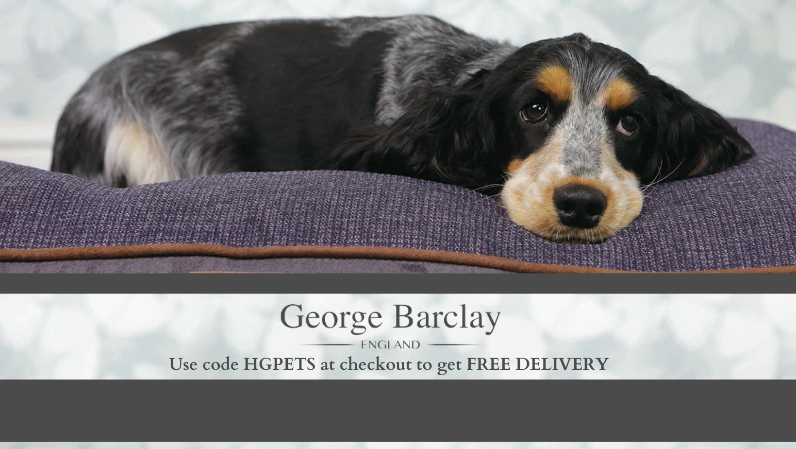 HG Pets Independent Pet Shop & Groomers – HG PETS